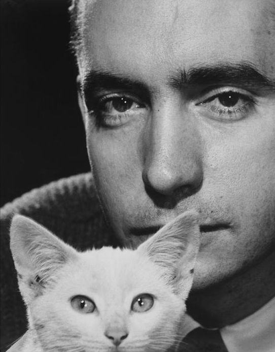 Analysis of Edward Albee’s Plays – Literary Theory and Criticism