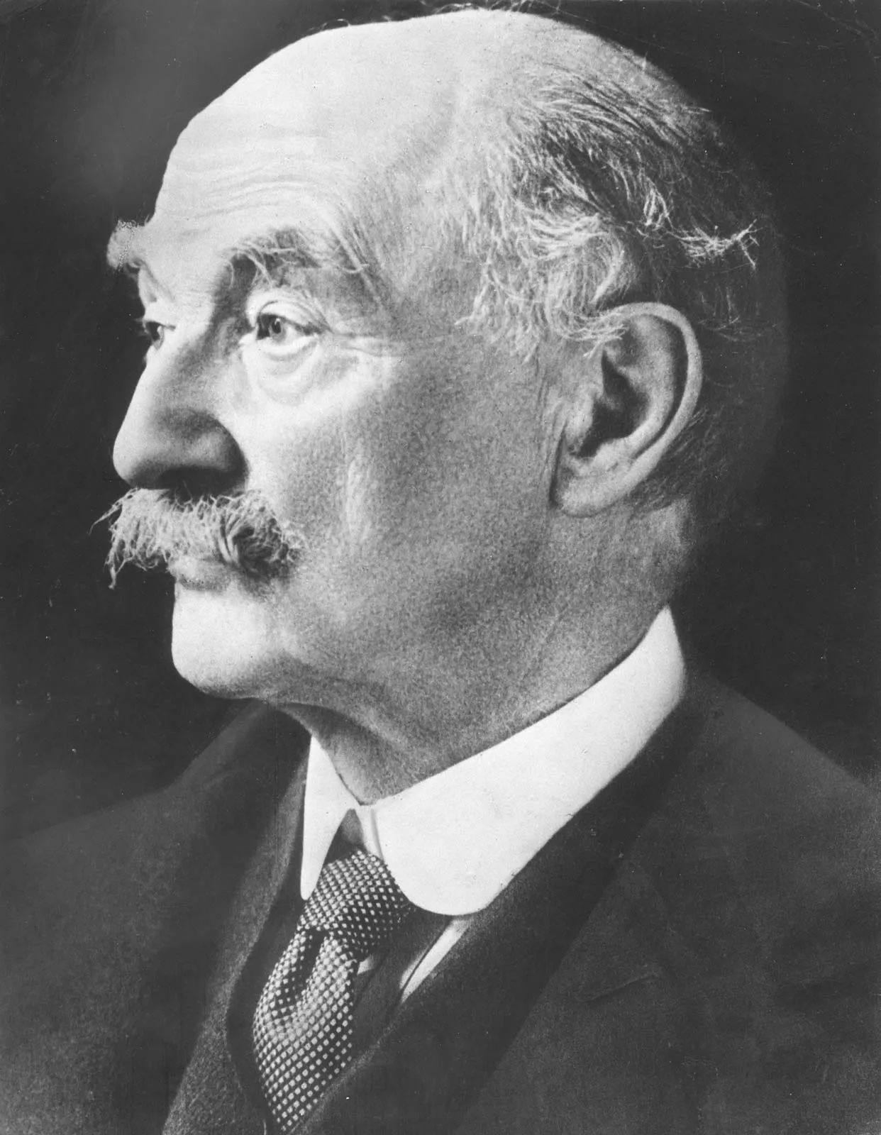Analysis of Thomas Hardy’s A Mere Interlude – Literary Theory and Criticism