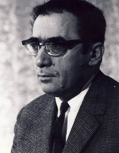 Analysis of Marin Preda’s The Morometes – Literary Theory and Criticism